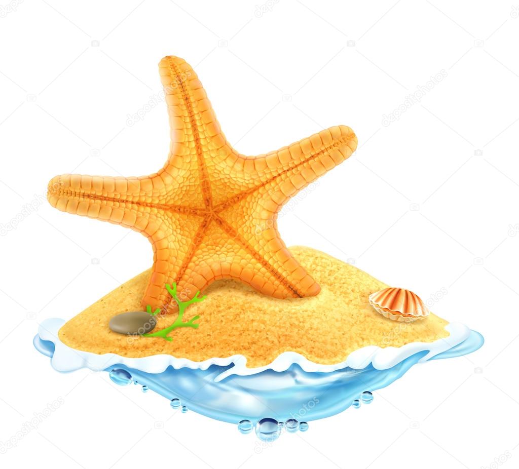 Estrella de mar en la arena, ilustraci n vectorial 2024