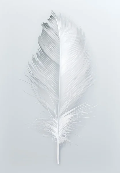 Feather. Vector illustration Stock Vector Image by ©Vik_Y #67350909 Feather. Vector illustration Stock Vector Image by ©Vik_Y #67350909