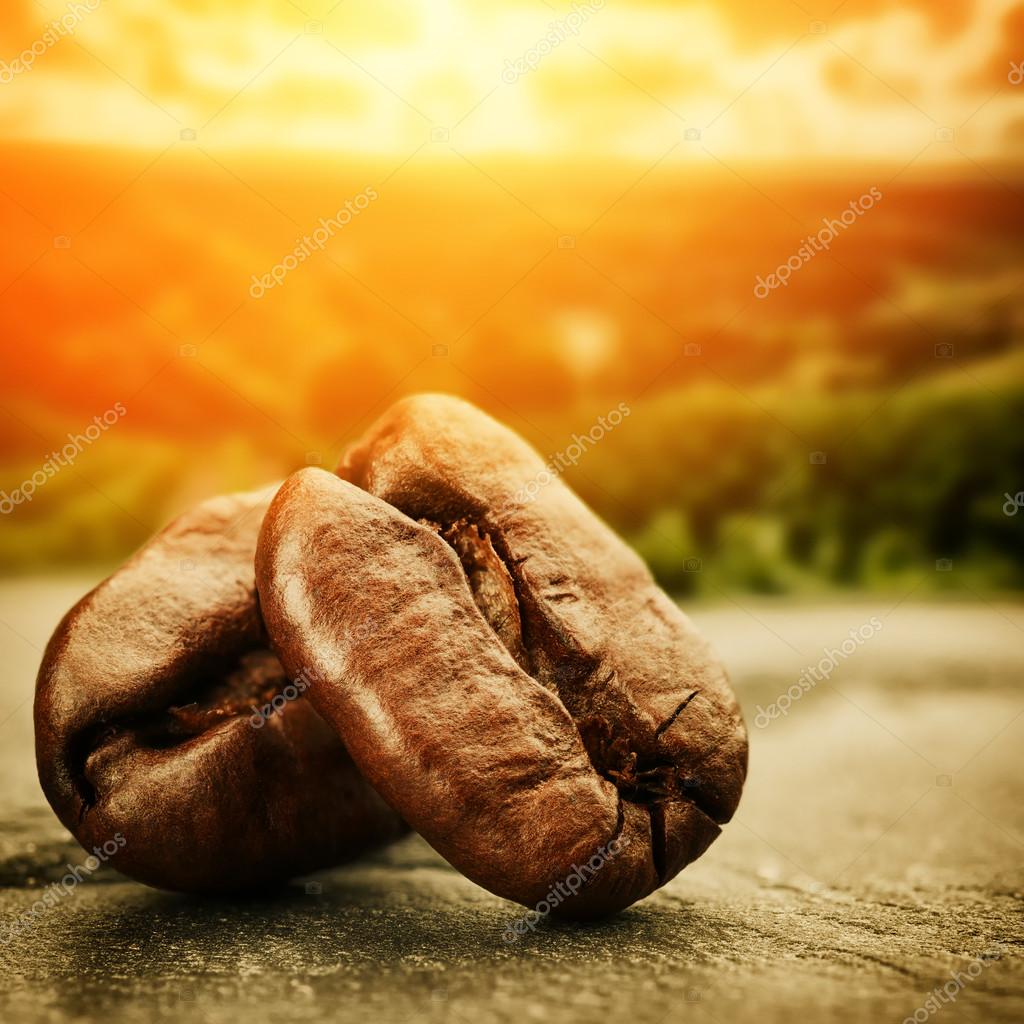 Coffee beans with sunset over plantation — Stock Photo © paulgrecaud ...