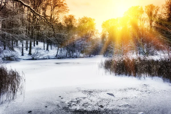 Sunset over winter forest lake — Stock Photo © paulgrecaud #34036937