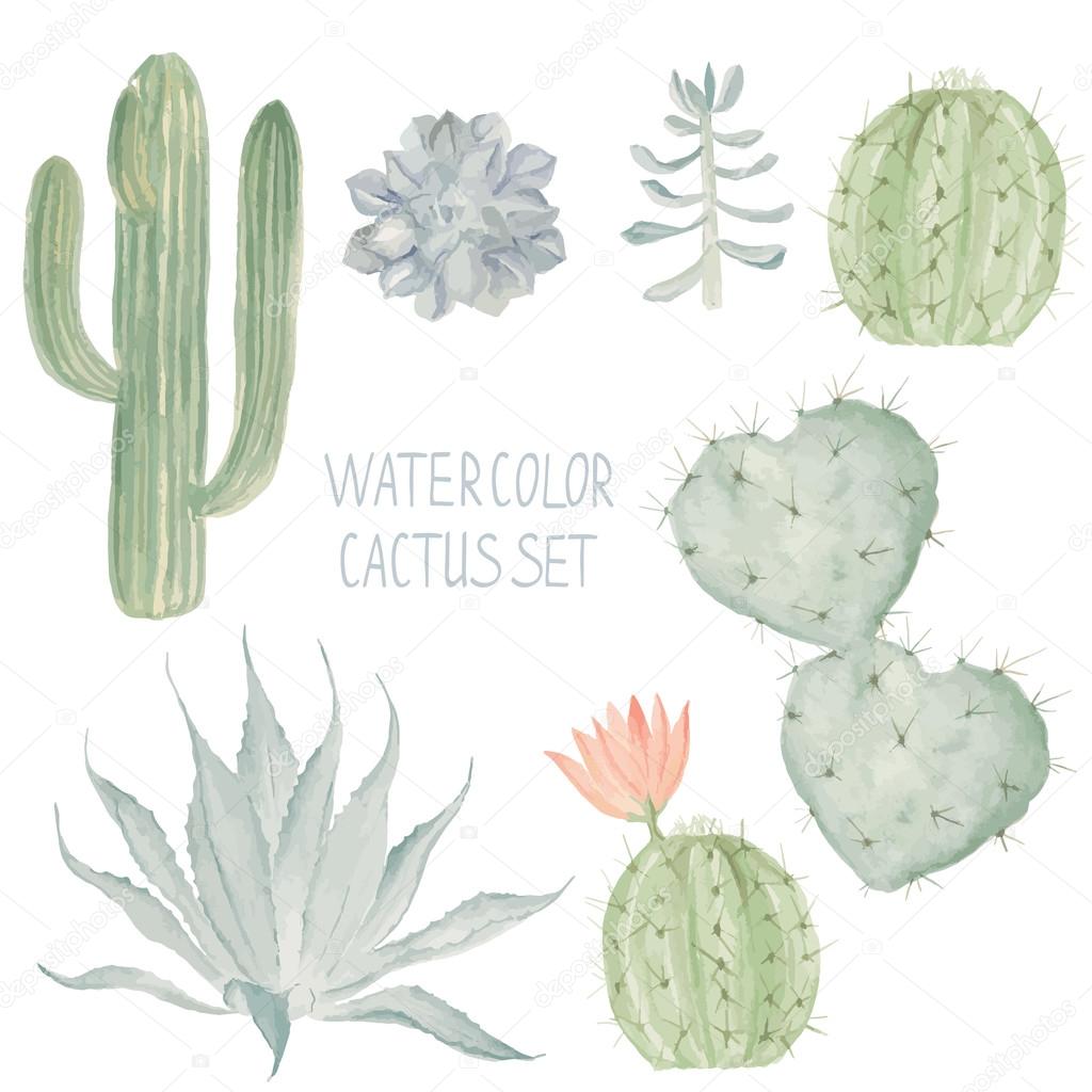 Cactus set. Watercolor succulent collection — Stock Vector © Natikka ...