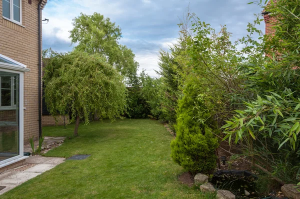 Over grown Stock Photos, Royalty Free Over grown Images | Depositphotos