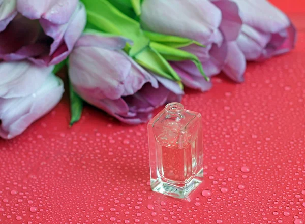 Broken perfume bottle Stock Photos, Royalty Free Broken perfume bottle ...
