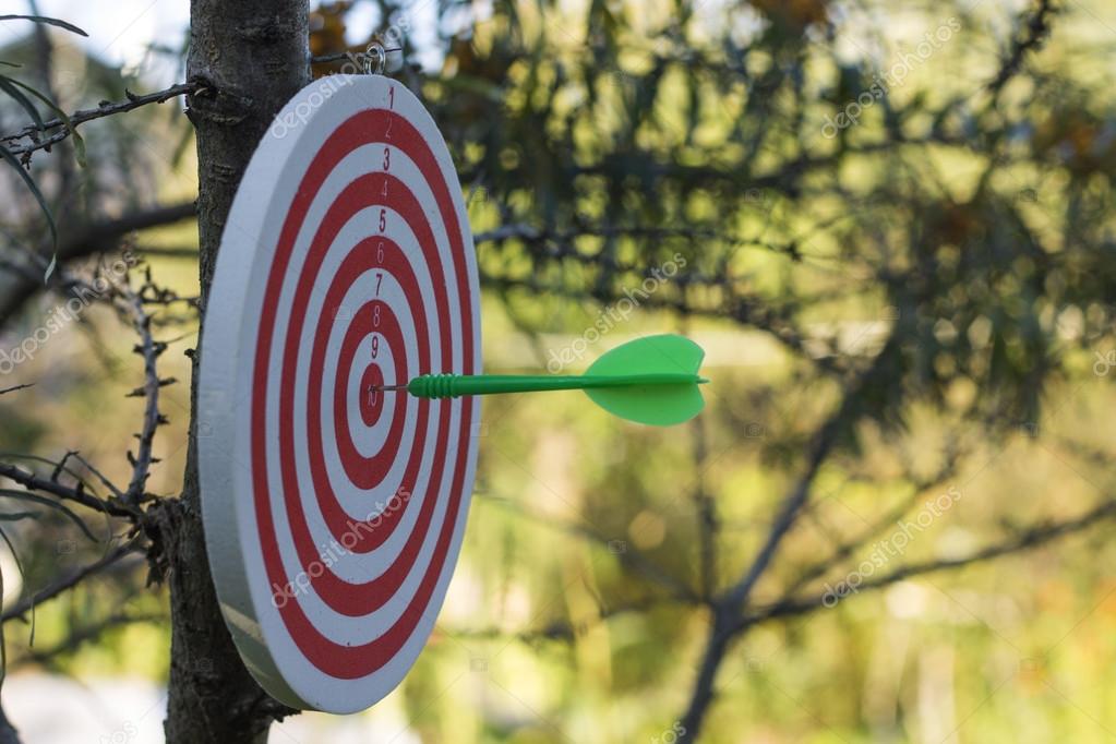 Dartboard on tree. Green dart hit the bullseye — Stock Photo © andia ...