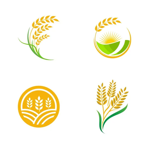 100,000 Símbolos de trigo Vector Images | Depositphotos