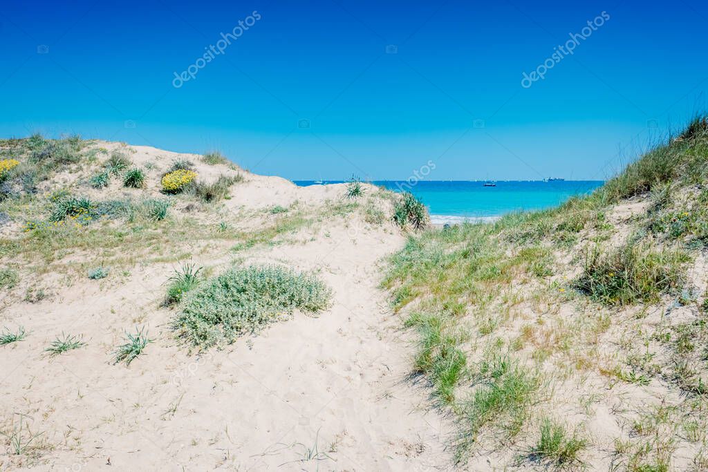Dunas de arena con plantas junto al mar en un área natural protegida en ...