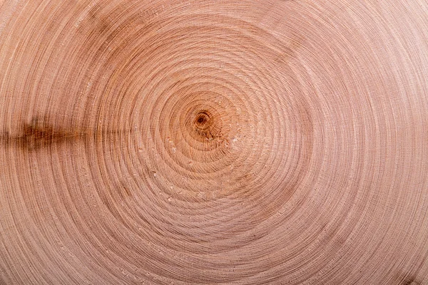 Circles texture Stock Photos, Royalty Free Circles texture Images ...