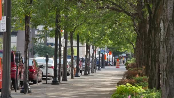 4K Cleveland Tree Lined Sidewalk — Stock Video © ODesigns #75380641