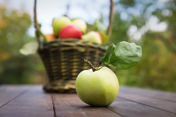 Fresh apple crop outdoors - Stock Image - Everypixel