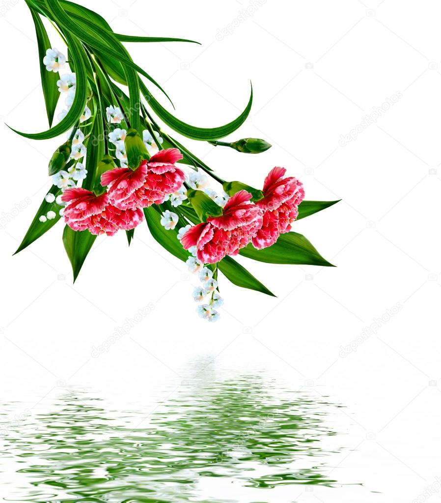 Flowers lily of the valley — Stock Photo © alenalihacheva #104251734