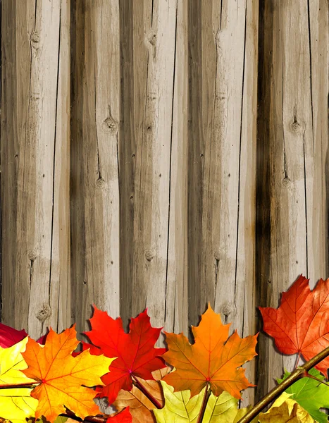 Fall border background Stock Photos, Royalty Free Fall border ...