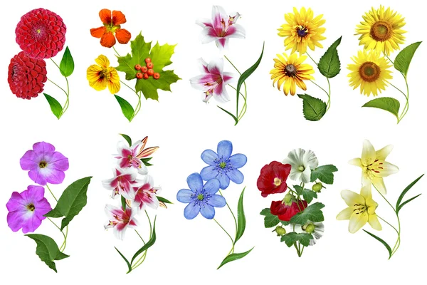 Groupings Clipart Of Flowers
