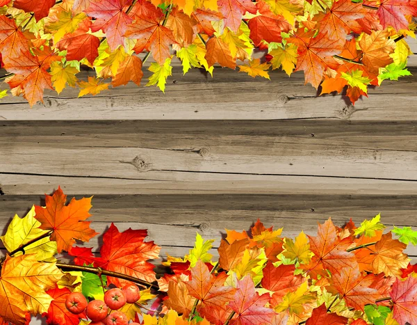 Fall borders Stock Photos, Royalty Free Fall borders Images | Depositphotos