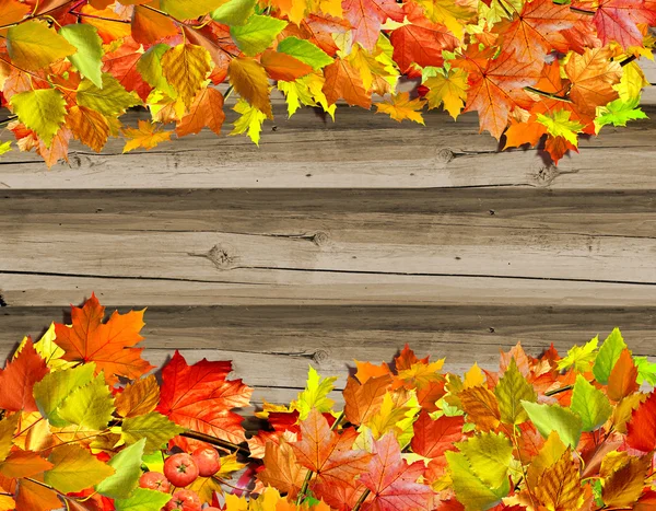 Fall borders Stock Photos, Royalty Free Fall borders Images | Depositphotos