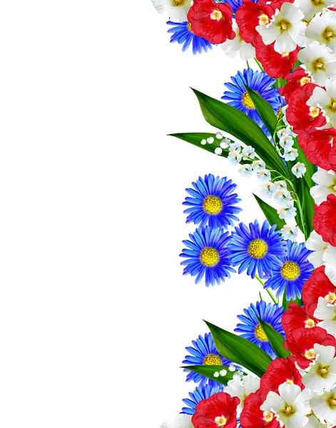 August flowers Stock Photos, Royalty Free August flowers Images ...