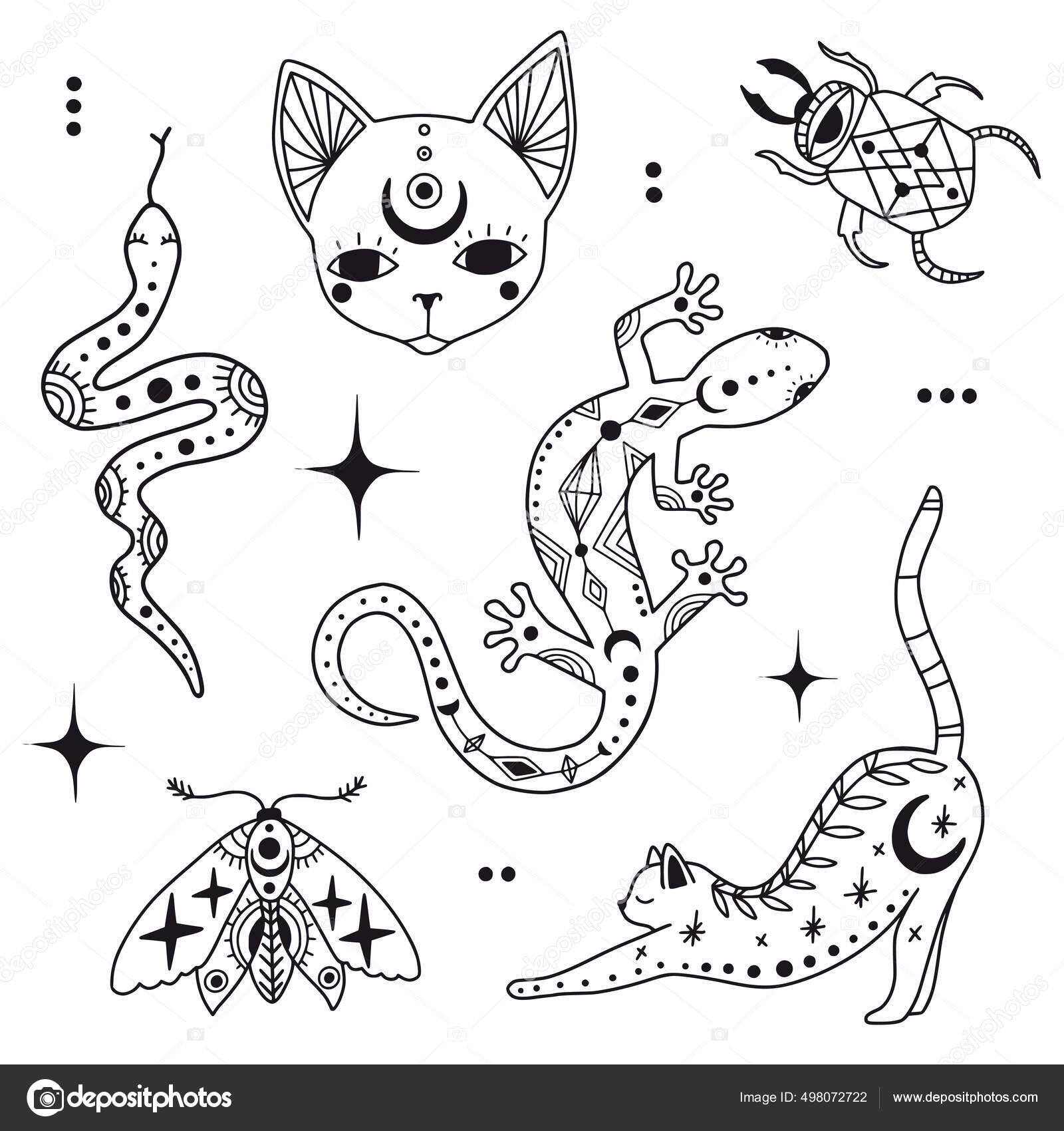 Doodle Mystic Set Magic Elements Outline Animals Insects Cats Bug Stock ...