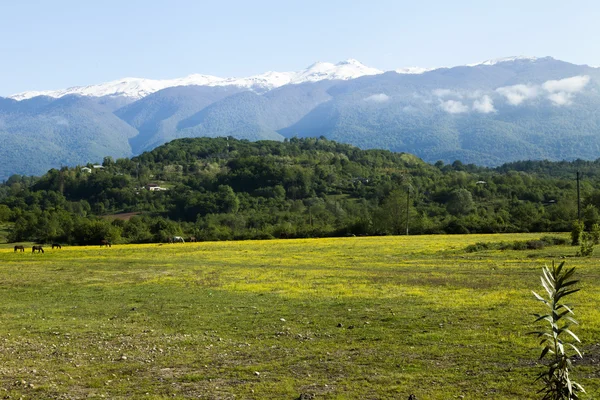 Satmala range Stock Photos, Royalty Free Satmala range Images ...