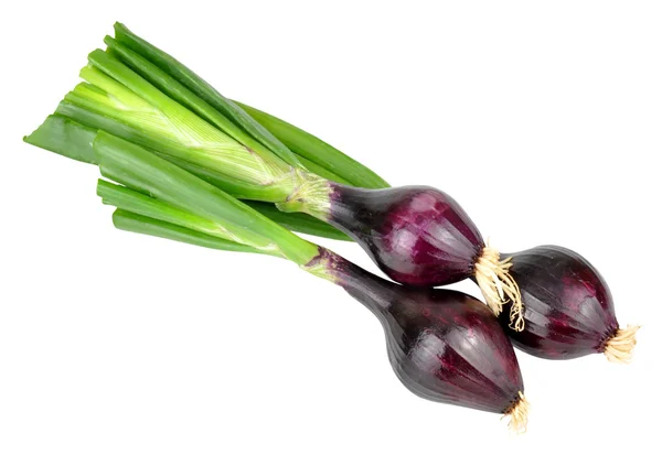 Red spring onions Stock Photos, Royalty Free Red spring onions Images ...