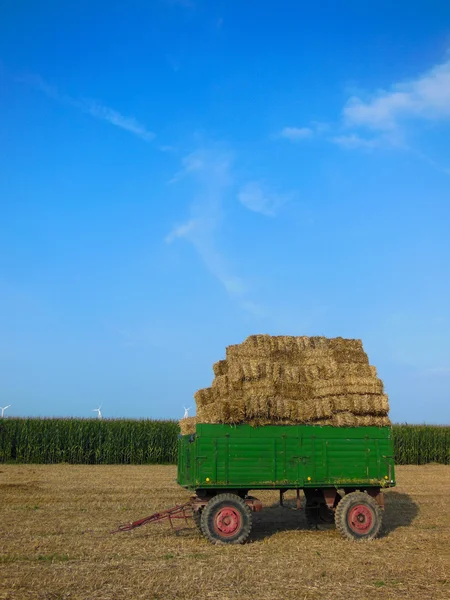 Hay ride Stock Photos, Royalty Free Hay ride Images | Depositphotos