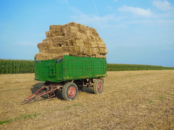Fall hayride Stock Photos, Royalty Free Fall hayride Images | Depositphotos
