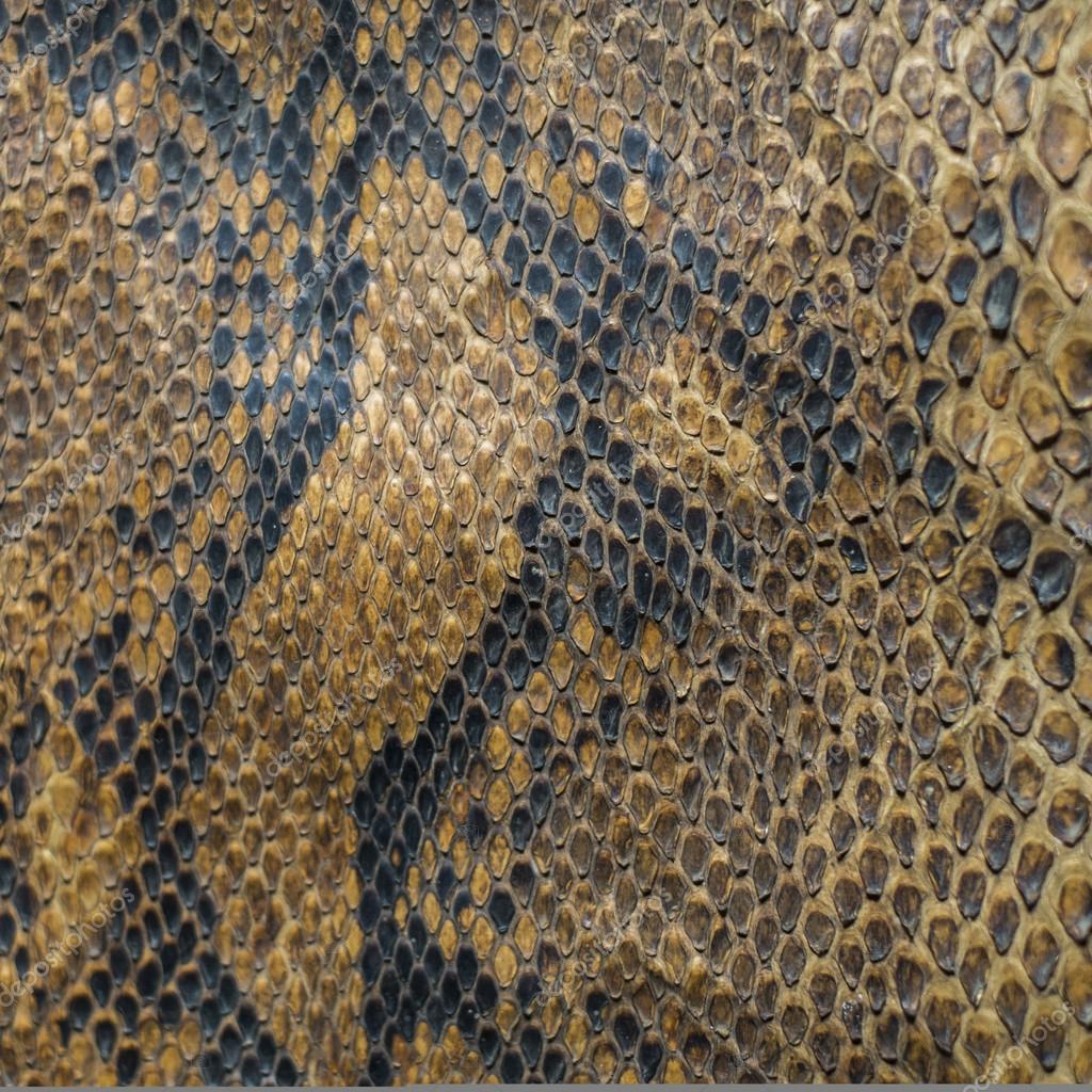 Snake skin texture and background Stock Photo by ©2nix 77119541