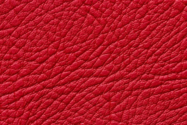 Red leather Stock Photos, Royalty Free Red leather Images | Depositphotos