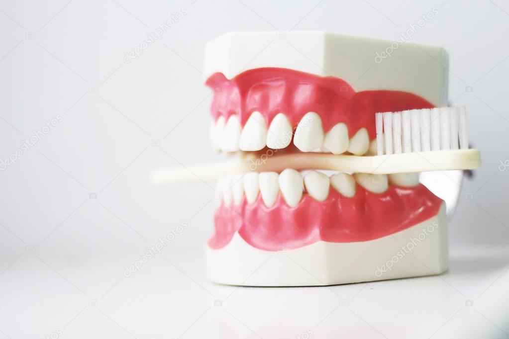 False Teeth Prosthetic Biting Toothbrush on White Stock Photo by ...