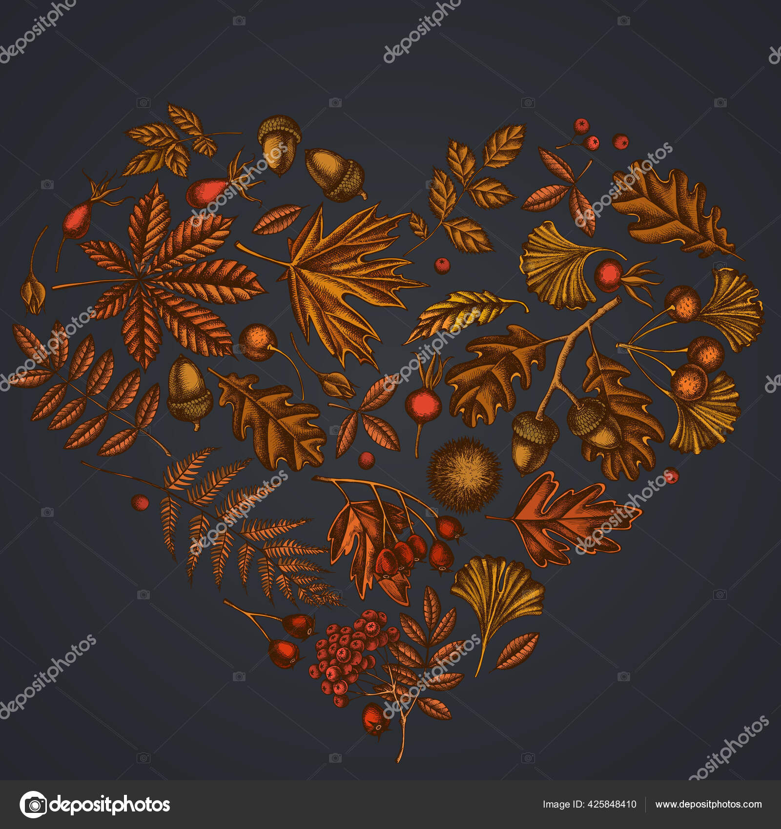 Heart design on dark background with fern, dog rose, rowan, ginkgo ...