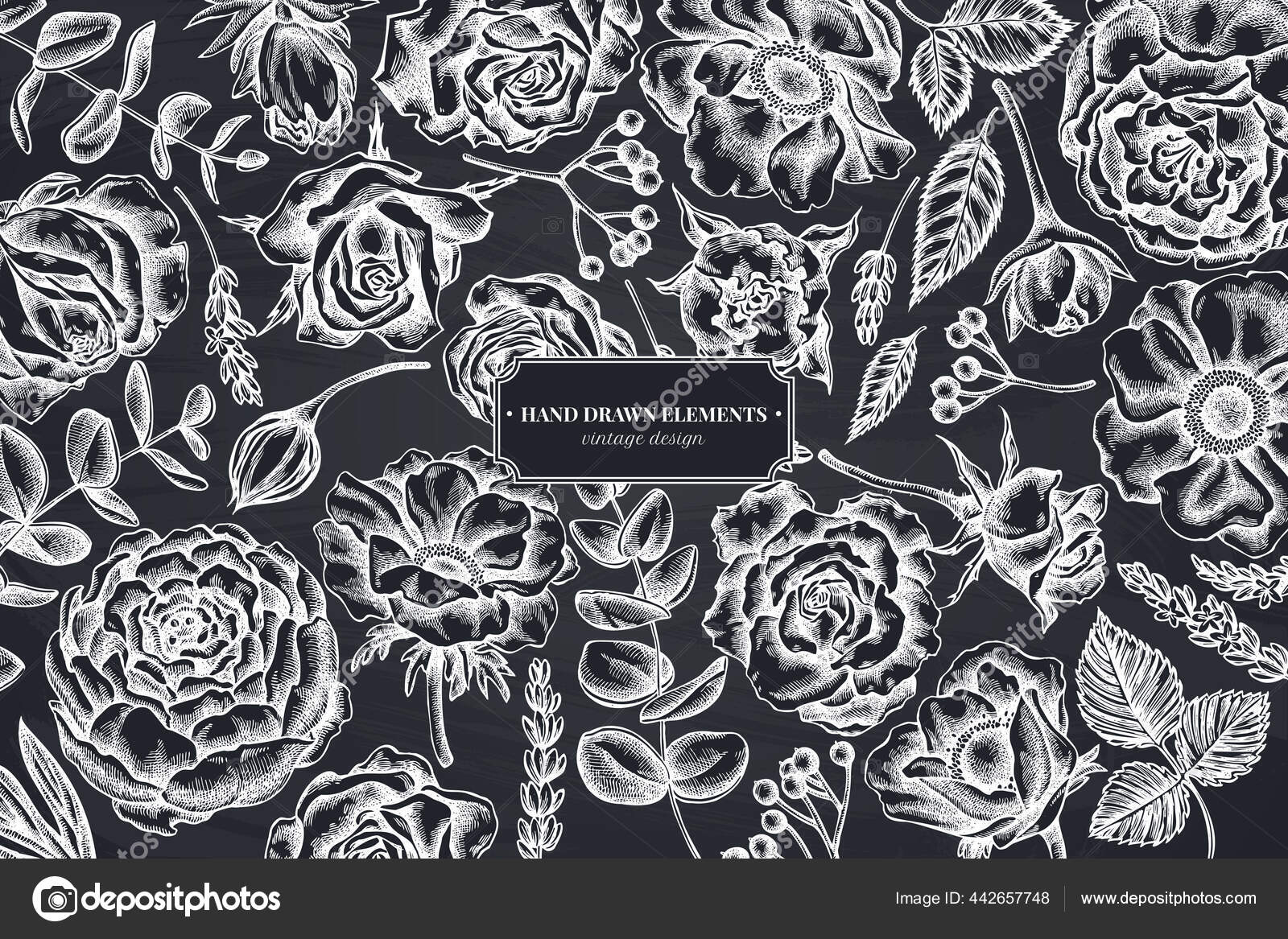 Floral design with chalk roses, anemone, eucalyptus, lavender, peony ...