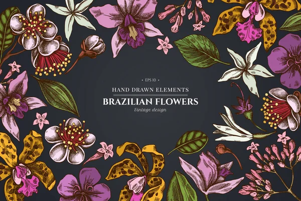 Cattleya imágenes de stock de arte vectorial | Depositphotos