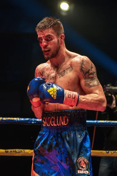 IBO Title boxing match between Erik Skoglund (SWE) and Ryno Lieb ...