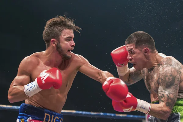 Match between Anthony Yigit (SWE) vs Armando Robles (MEX) in sup - Stock Image - Everypixel