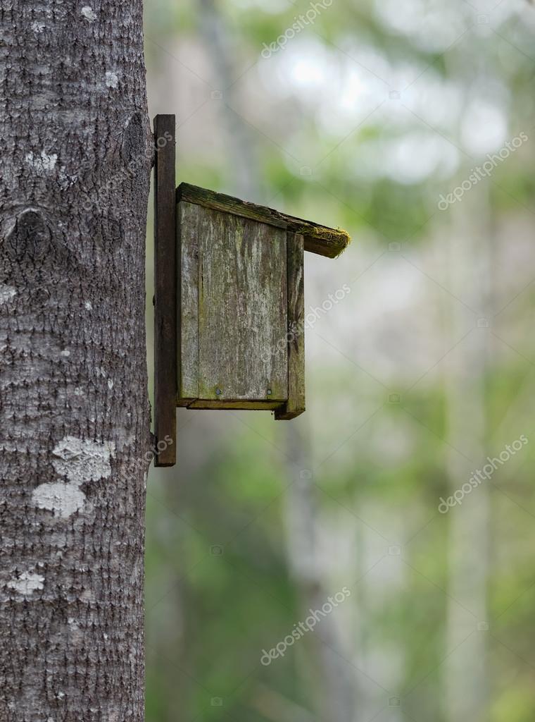 Old nesting box with a weathered condition in the forest during — Stock ...