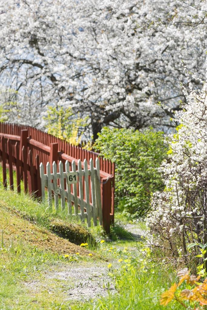 Beautiful lush garden during spring with white cherry trees Stock Photo ...