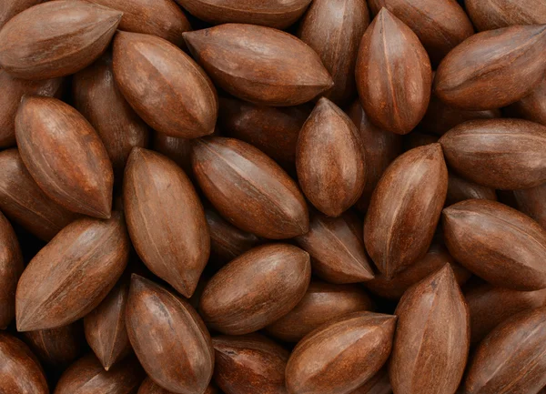 Pecan background Stock Photos, Royalty Free Pecan background Images ...