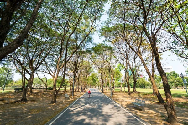 Tree promenade Stock Photos, Royalty Free Tree promenade Images ...