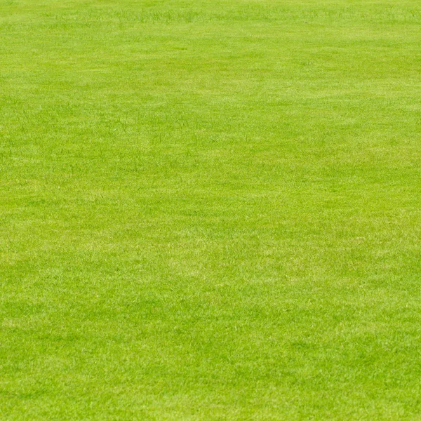 Beautiful nature real Images - Search Images on Everypixel