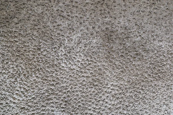 Granular Surface Simple Surface Slight Pinkish Colour Texture ...