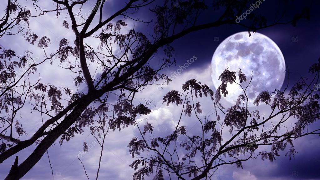 Spooky Moon Backgrounds
