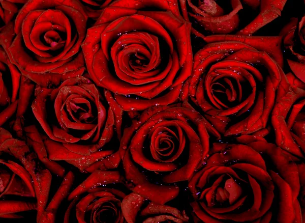 Dark love Stock Photos, Royalty Free Dark love Images | Depositphotos