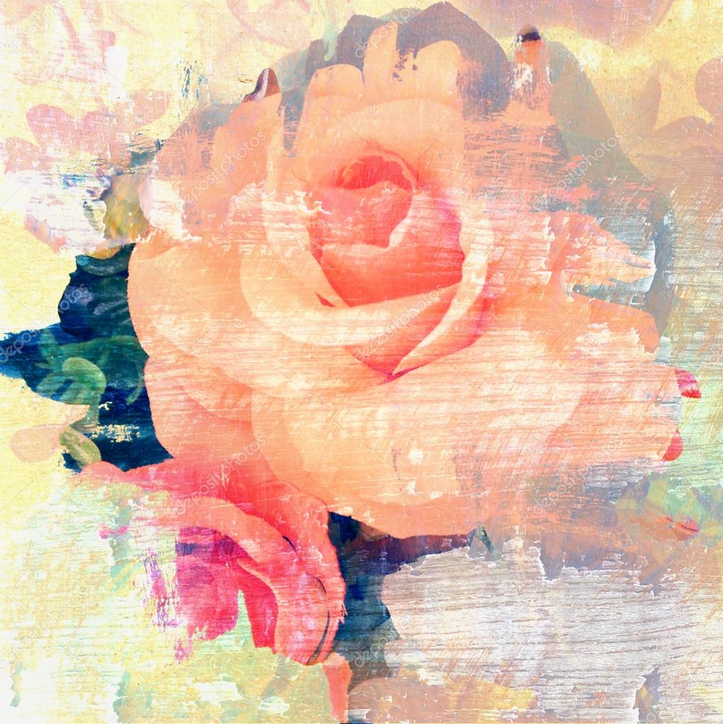 Flower beautiful rose, art paint illustration for background Stock ...