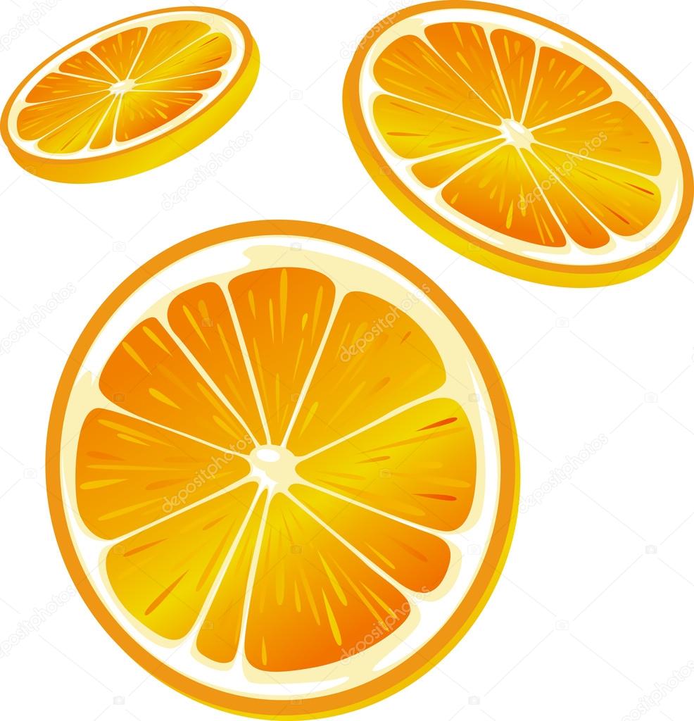 Orange slice illustration - isolated on white background — Stock Vector ...