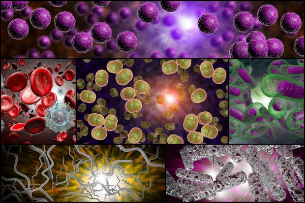 Collage de infección bacteriana 2023