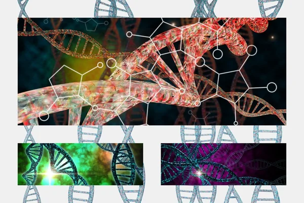 Science basic dna structure poster Stock Photos, Royalty Free Science ...