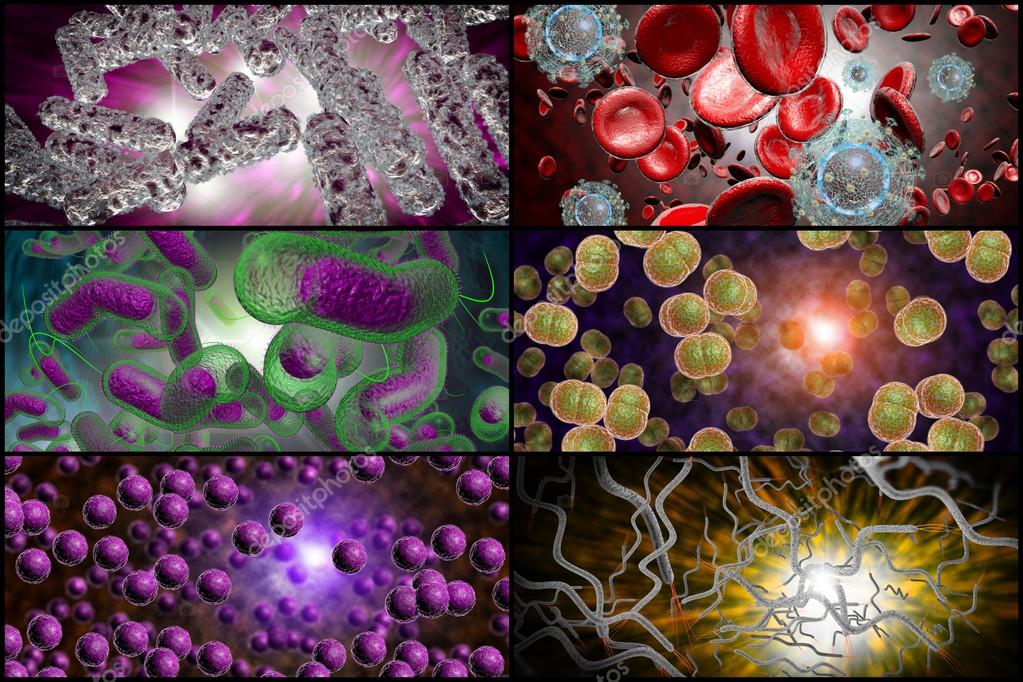 Bacteria Infection Collage — Stock Photo © ezumeimages #85618010
