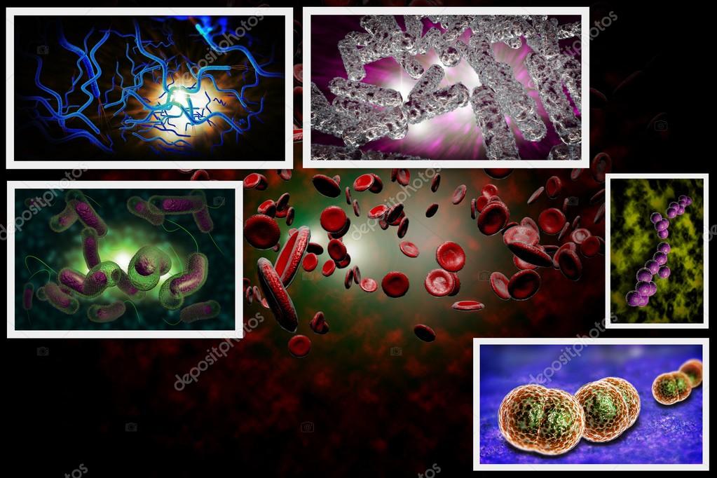 Collage de infección bacteriana 2023