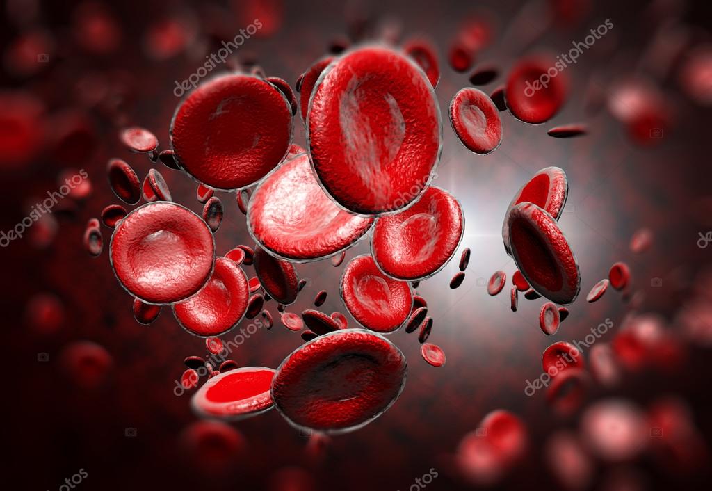 Red Blood Cells — Stock Photo © ezumeimages #85618142