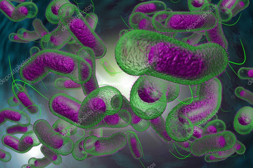 Cholera Bacteria Structure