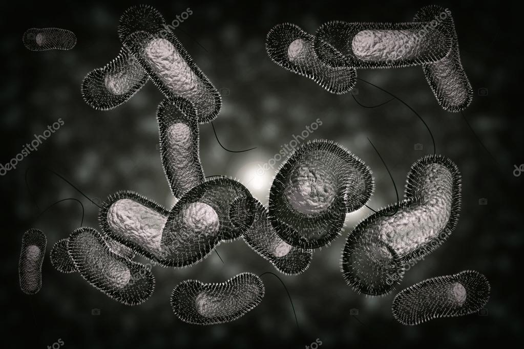 Cholera Bacteria — Stock Photo © ezumeimages #85618346