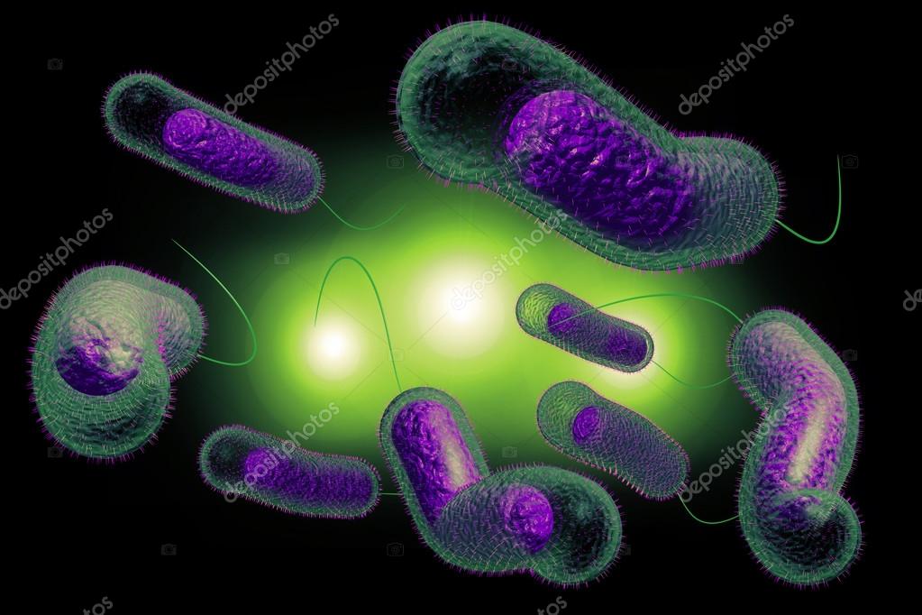 Cholera Bacteria — Stock Photo © ezumeimages #85618360